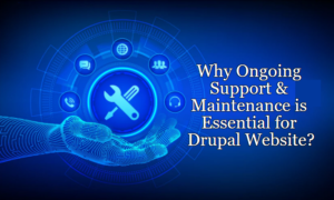 Why Your Drupal Website Must have Regular Maintenance Plan?
