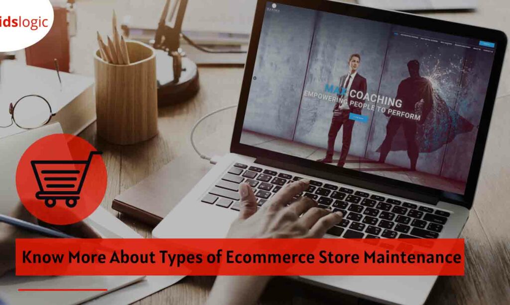 How to Choose the Best Types of Ecommerce Store Maintenance Services