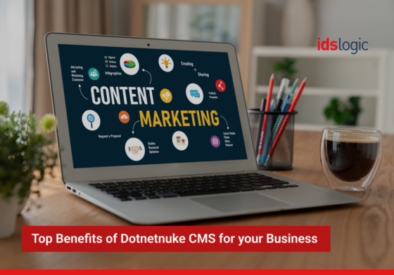 Top Dotnetnuke CMS Benefits for Business