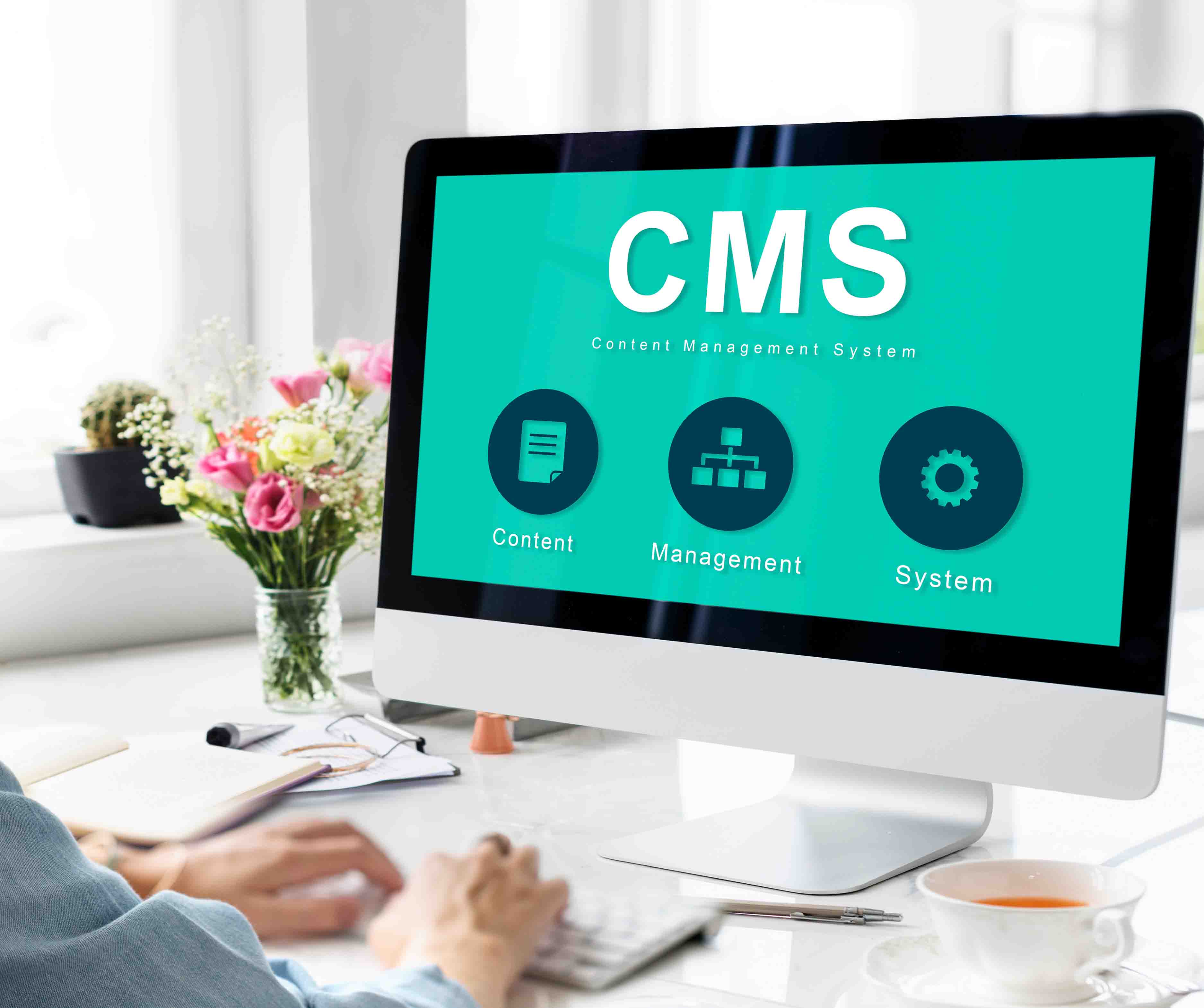 WordPress Development Companies | WordPress CMS Services
