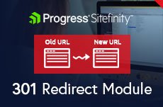Sitefinity Development Company | Sitefinity Solution Partners India