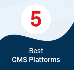 5 Best CMS Platforms to Consider for Developing Your Website