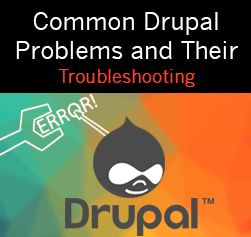 Common Drupal Problems and their Troubleshooting