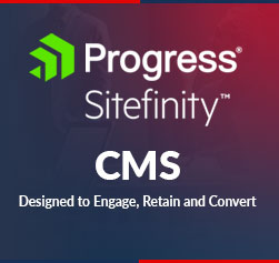 Engage, Retain and Convert Using Sitefinity CMS Development