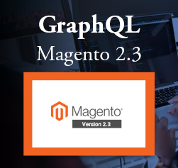 The Power of GraphQL with Magento2-What is GraphQL & How it Works?