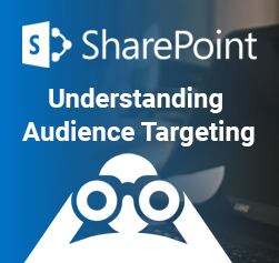What is Audience Targetting in SharePoint Application